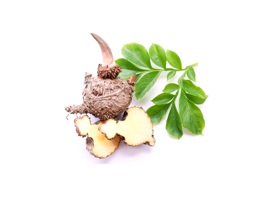 How Konjac Root-based Life Extension's Easy Fiber Can Benefit Your Hea ...